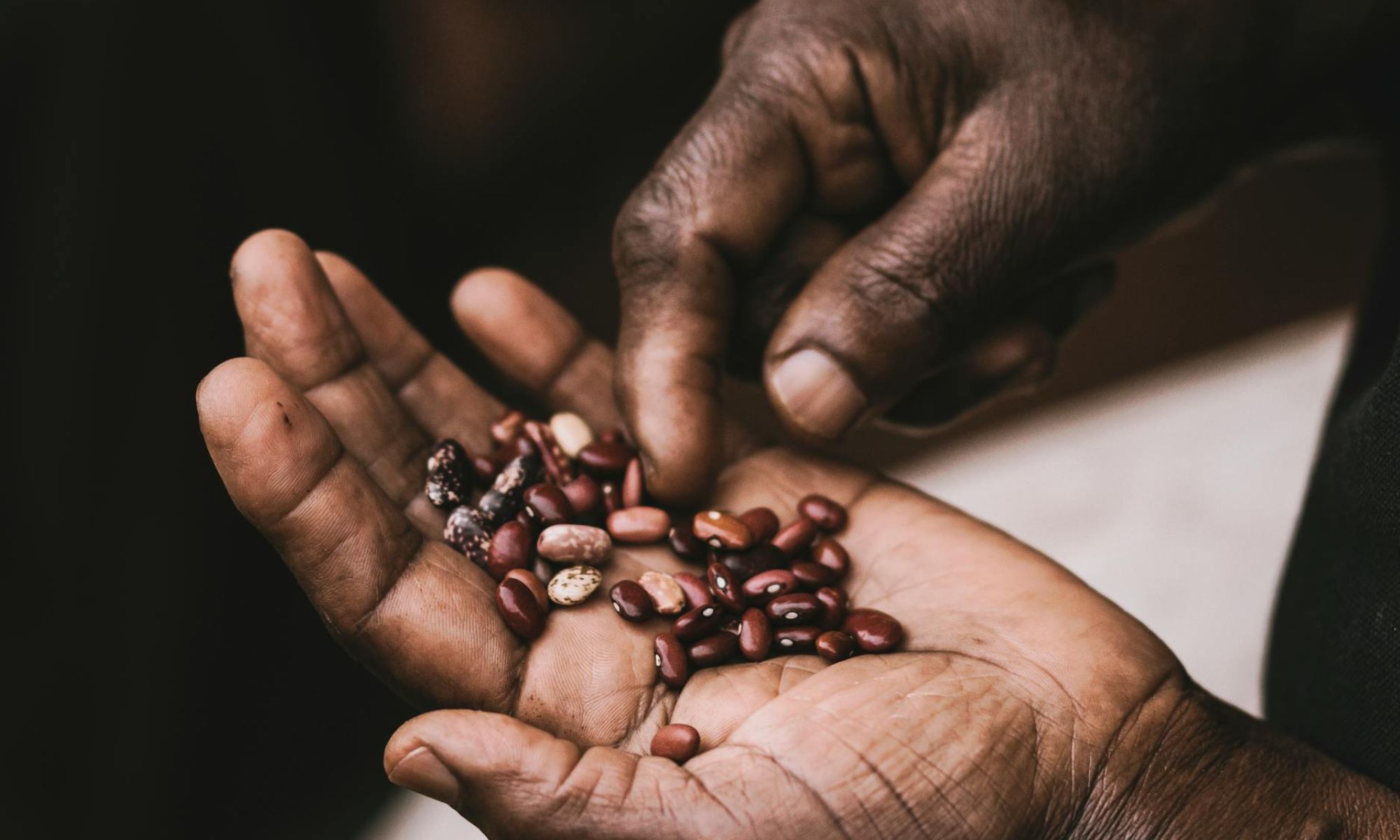 Kenya initiative paves the way for a more secure process cold chain ...